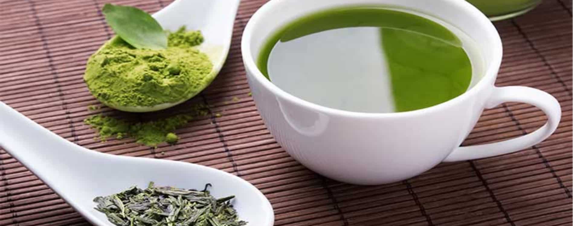 Our Top Green Teas Revealed 2024 | Healthy & Revitalizing